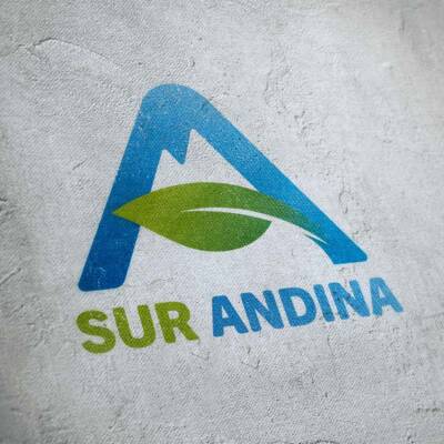 Sur Andina Logo Design - Exxa Design Studio